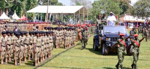 Mityana District | Local Government